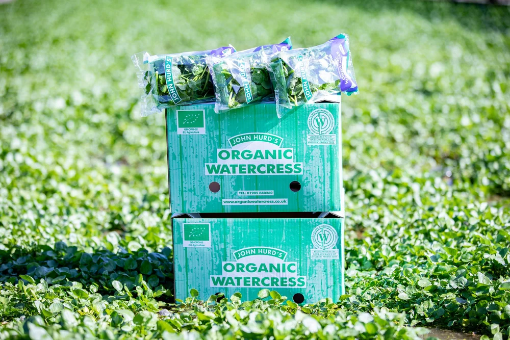 Organic Watercress - John Hurd's official website