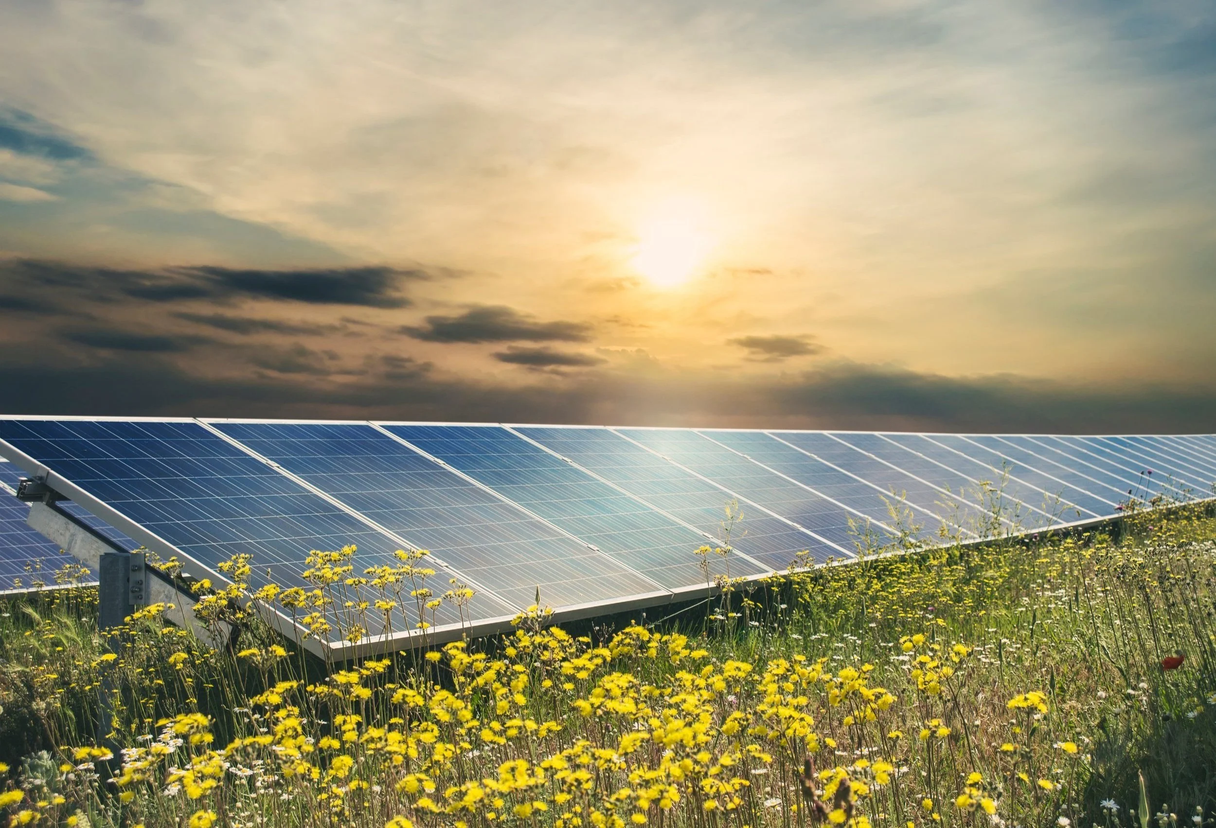 GreenGo Energy Group (US)
