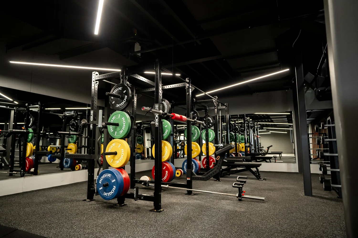 GYM & RECOVERY — Better