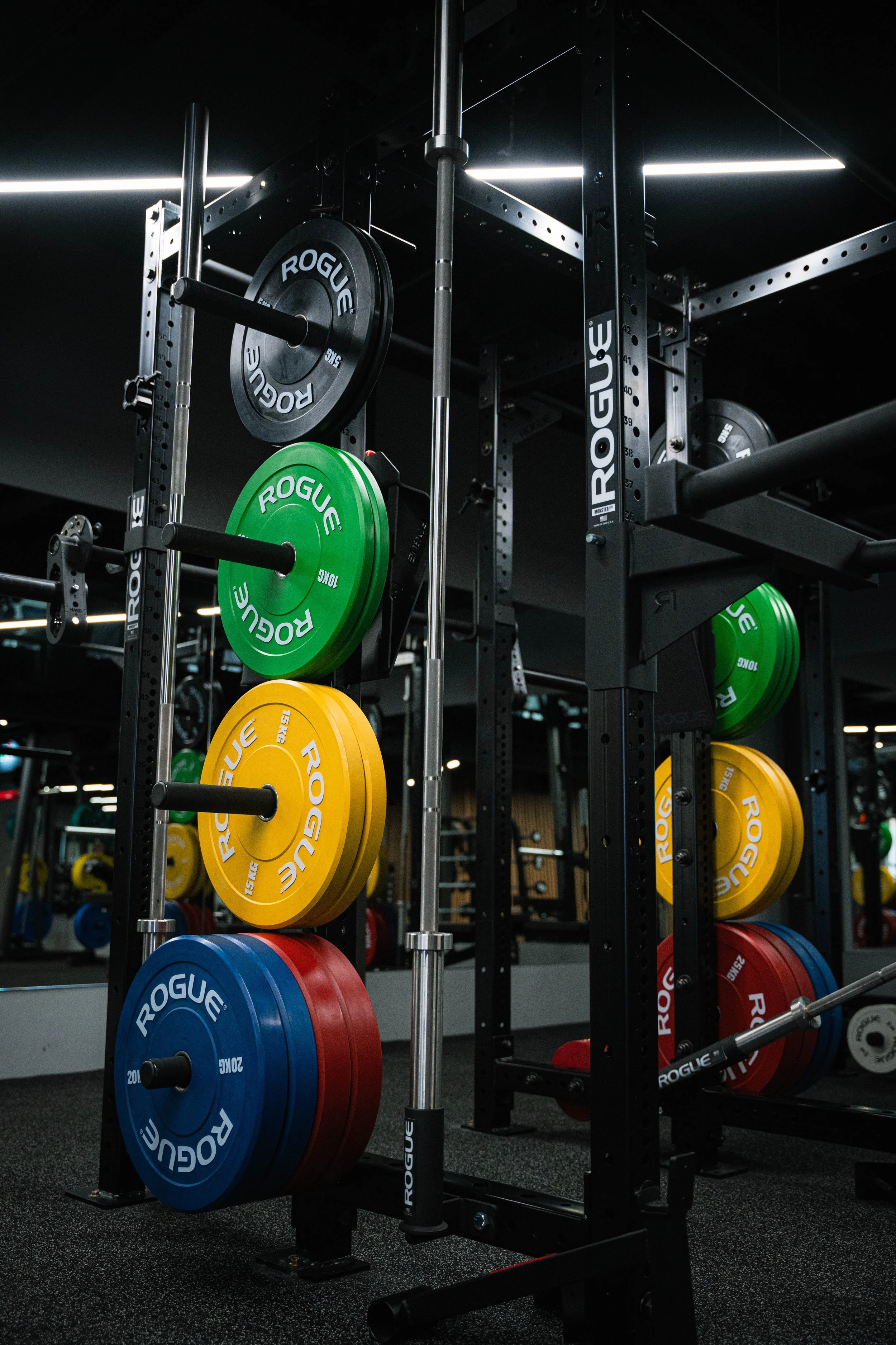 GYM & RECOVERY — Better