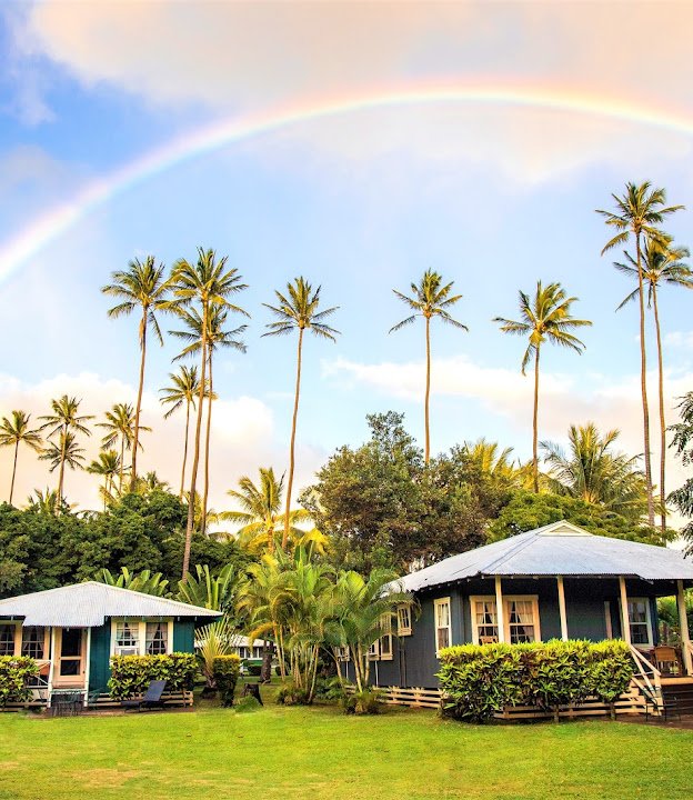 Camp Sloggett — YWCA Kaua'i | Survivor Services | Domestic Violence ...