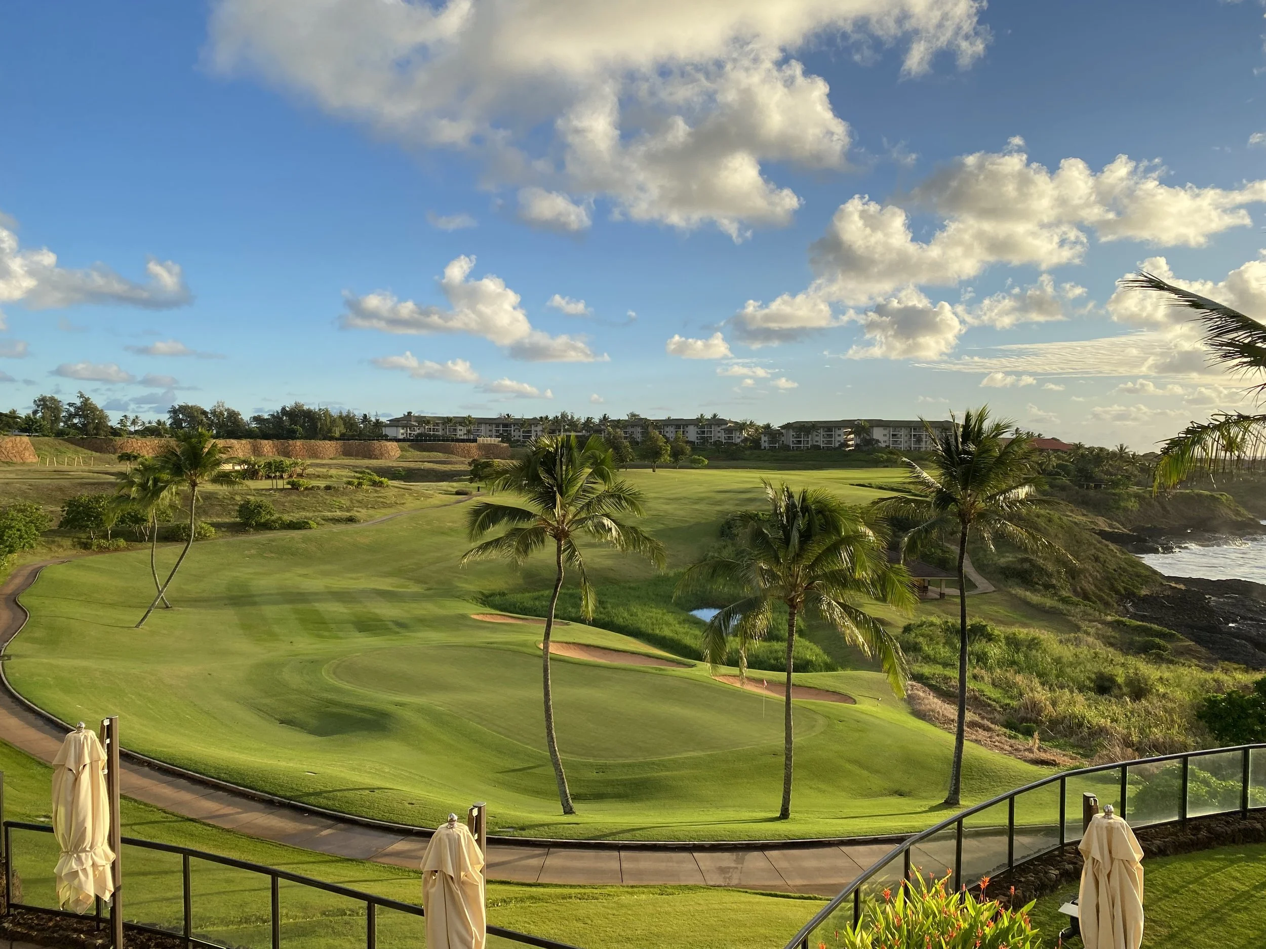 General 1 — YWCA Kaua'i | Survivor Services | Domestic Violence Services