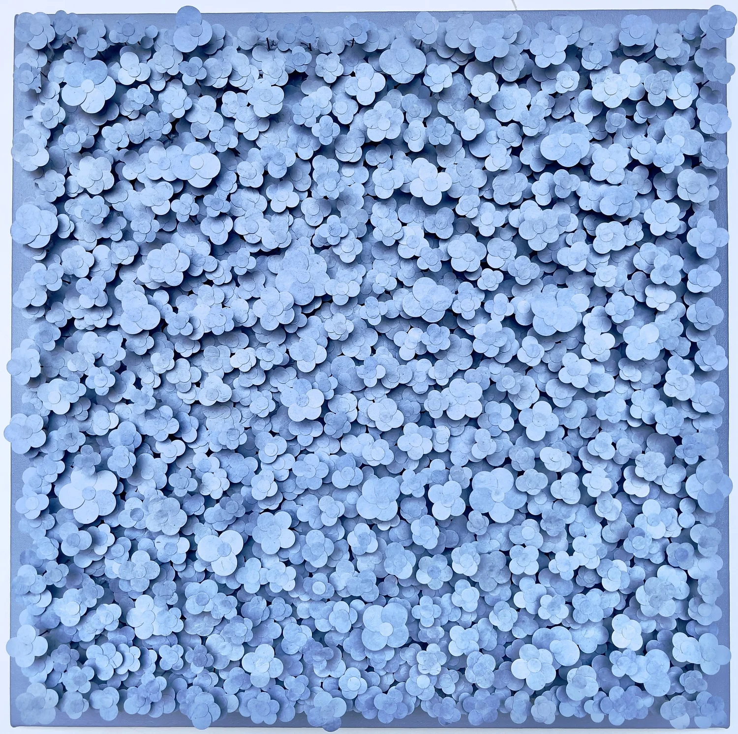 Small and Medium Floral Works — Stef Ross