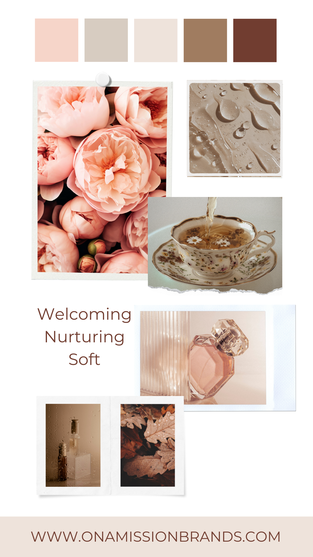 The Psychology of Color in Wellness Branding: Choosing the Right ...