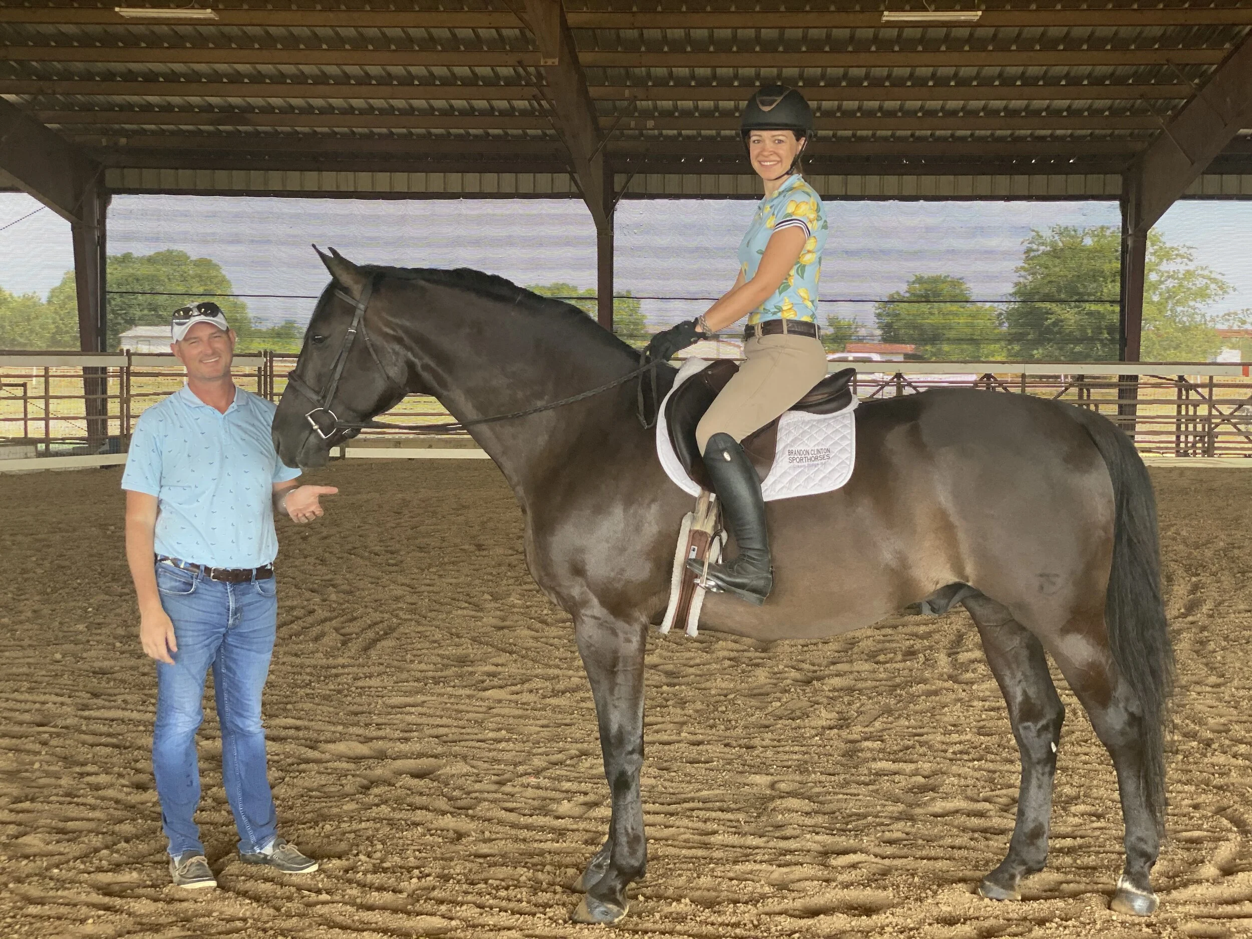 Horse Training — Equipoint Equestrian