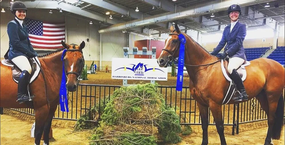 Equipoint Equestrian