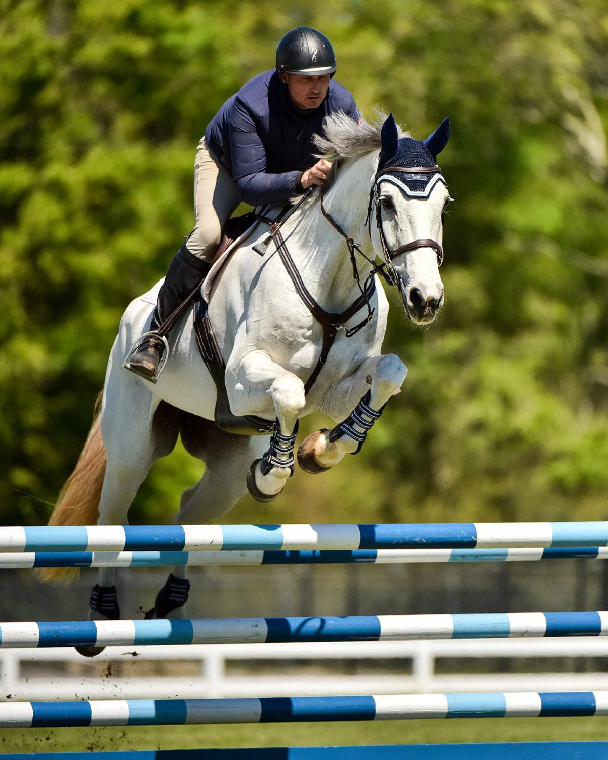 Equipoint Equestrian