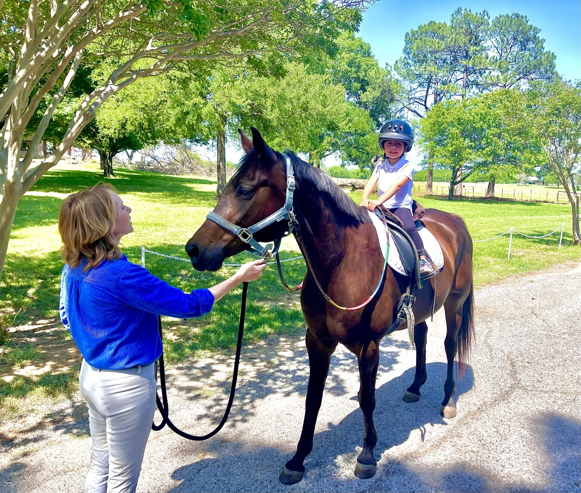 Equipoint Equestrian