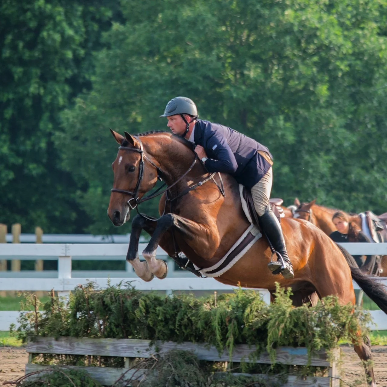 Equipoint Equestrian