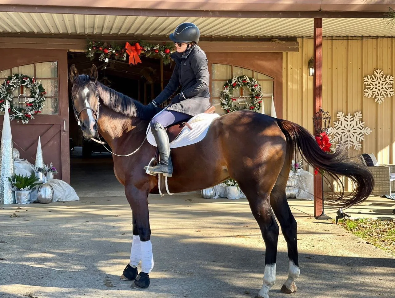 Equipoint Equestrian