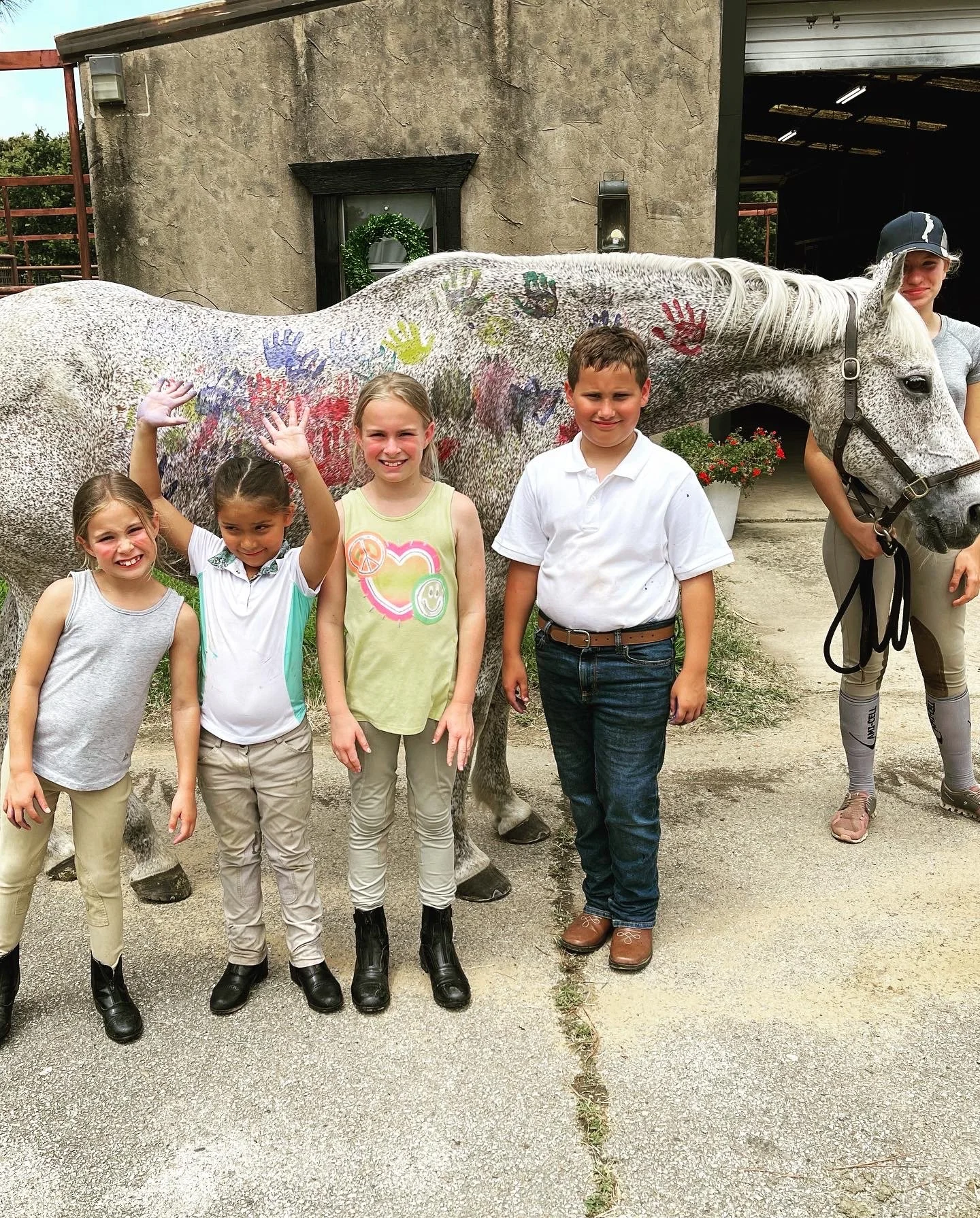 Equipoint Equestrian