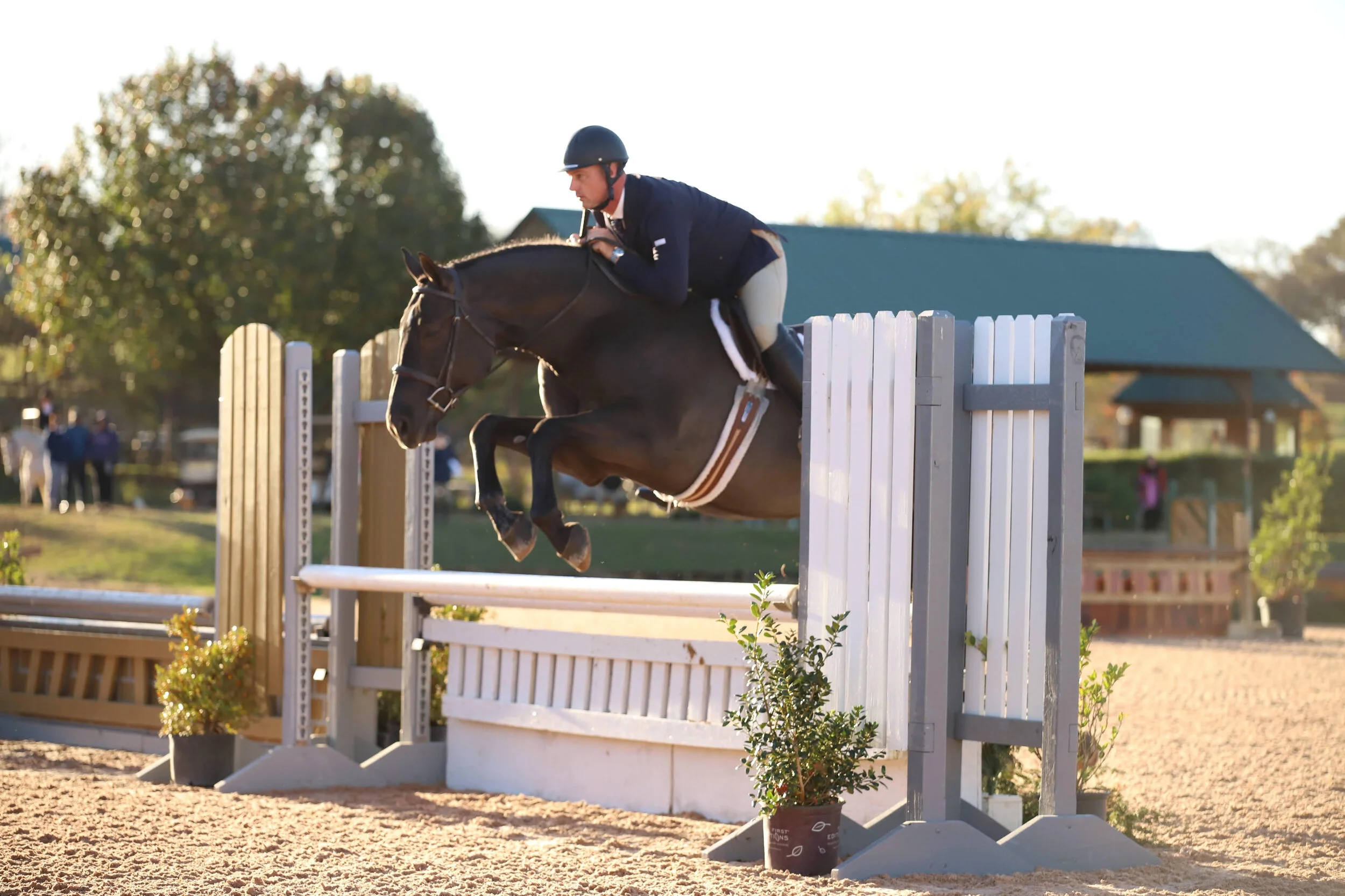 Equipoint Equestrian