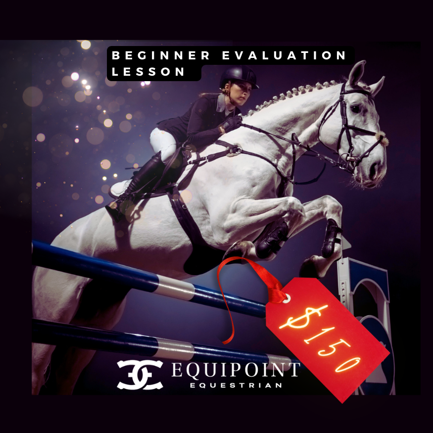 Introductory Lesson — Equipoint Equestrian