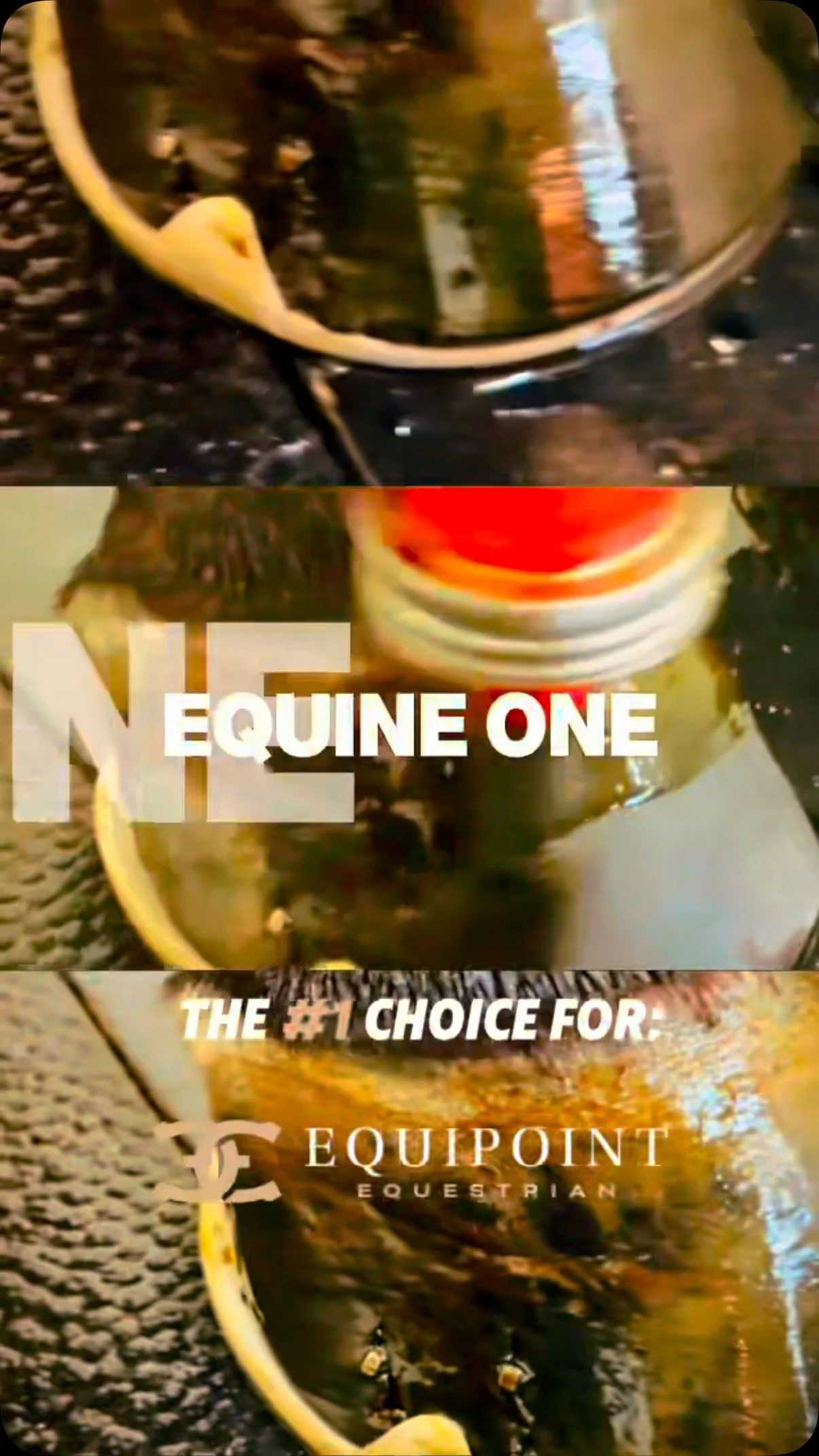 Equipoint Equestrian