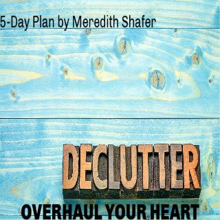 YouVersion Reading Plans — Meredith Shafer