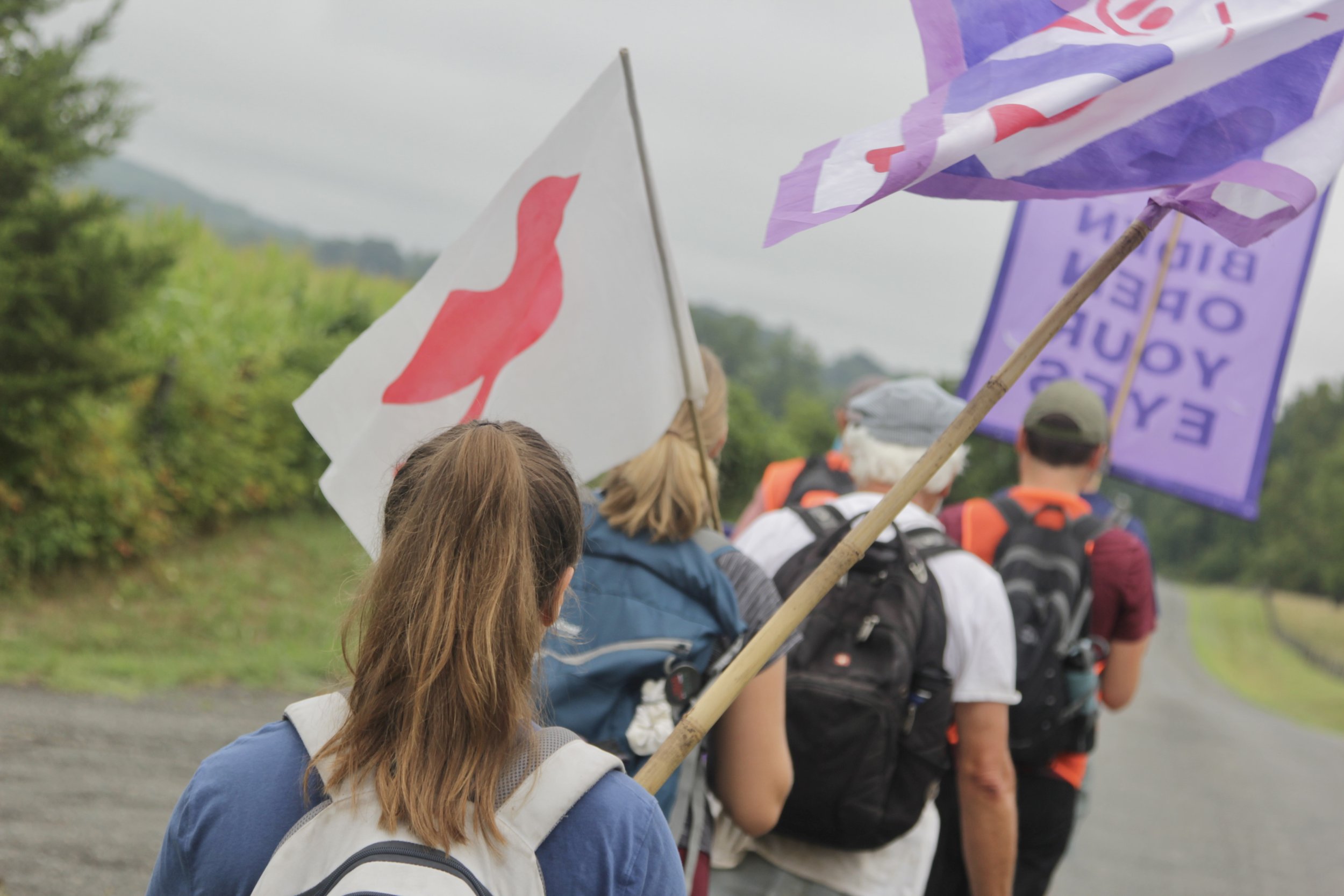 Marchers reflect on their journey to Washington, DC — Mennonite Action