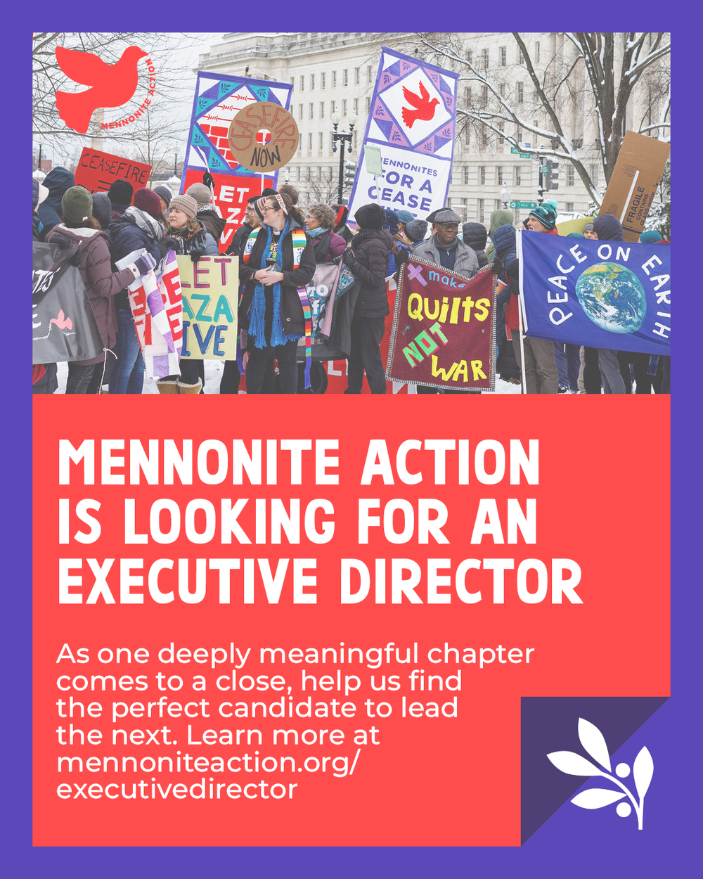 Mennonite Action