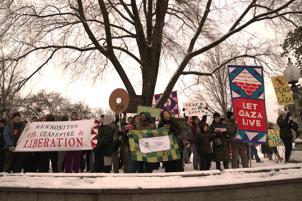 What We've Done — Mennonite Action