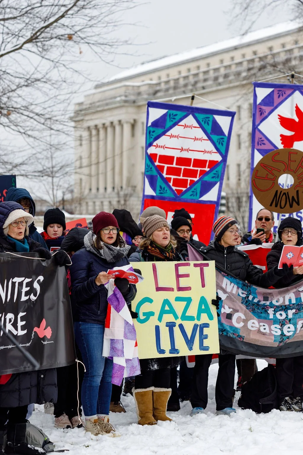 Call to Action — Mennonite Action