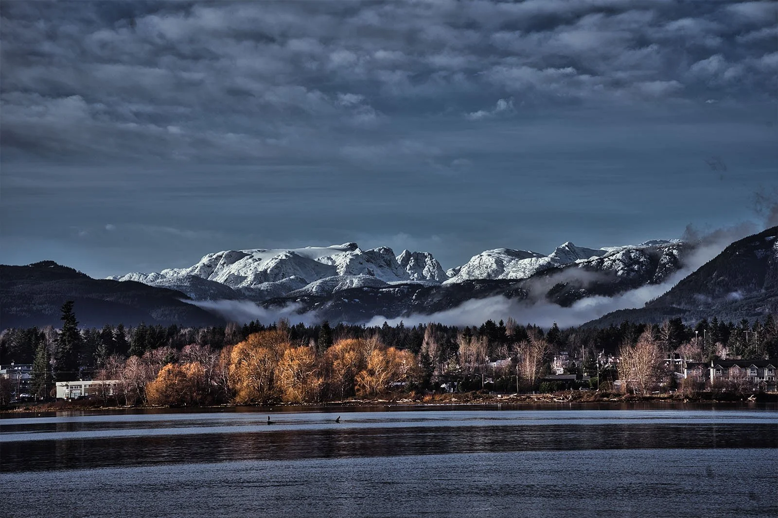 IESBC Courtenay/Comox: Highly rated local electrician