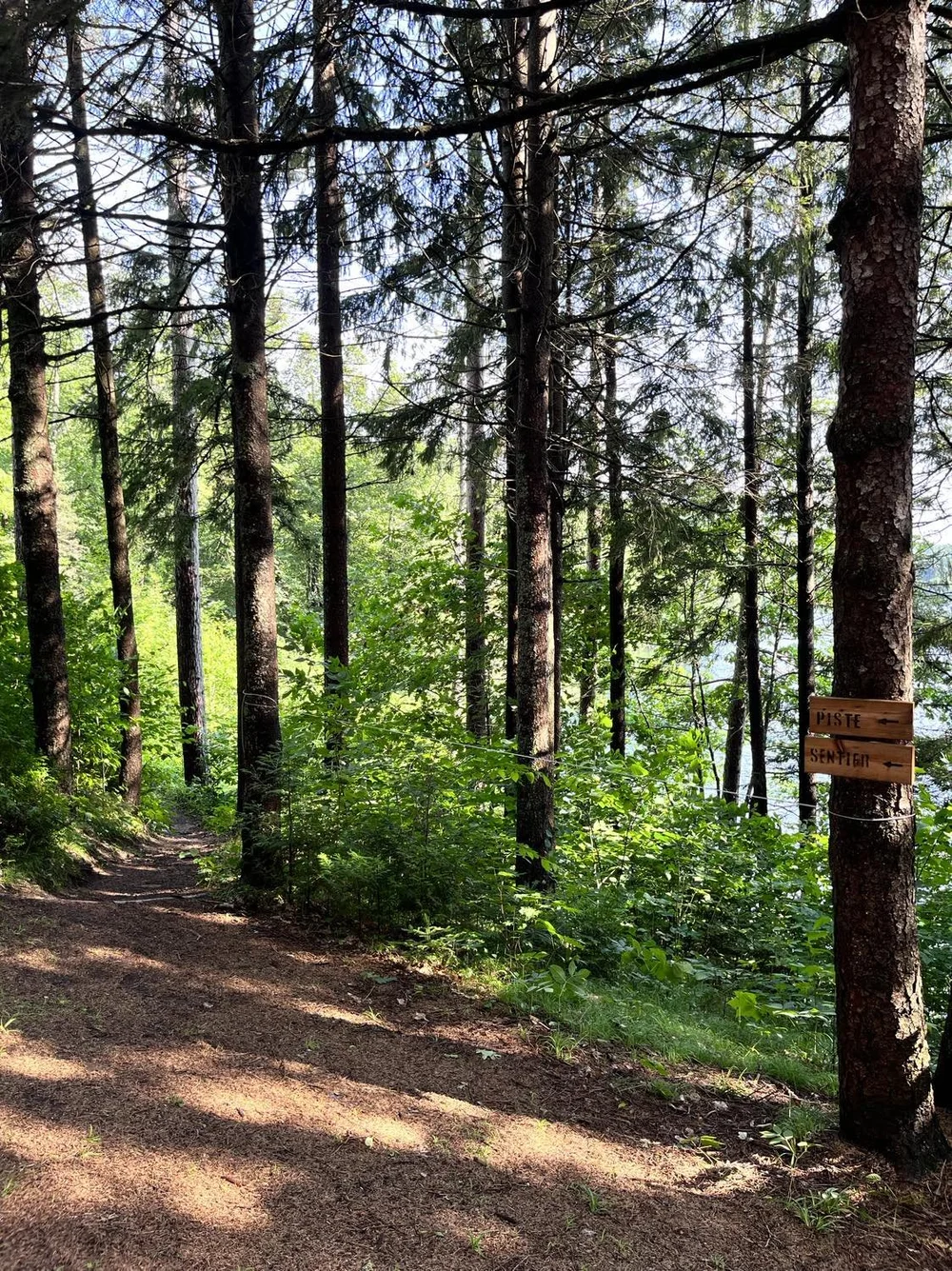 Activités — Camp du Lac Vert