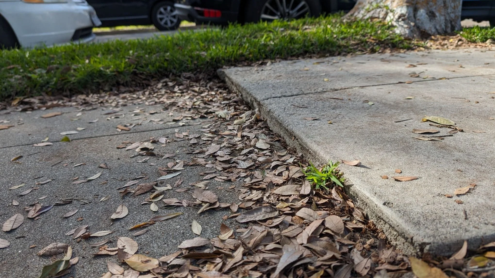 Fix our broken sidewalks! — Our Culver