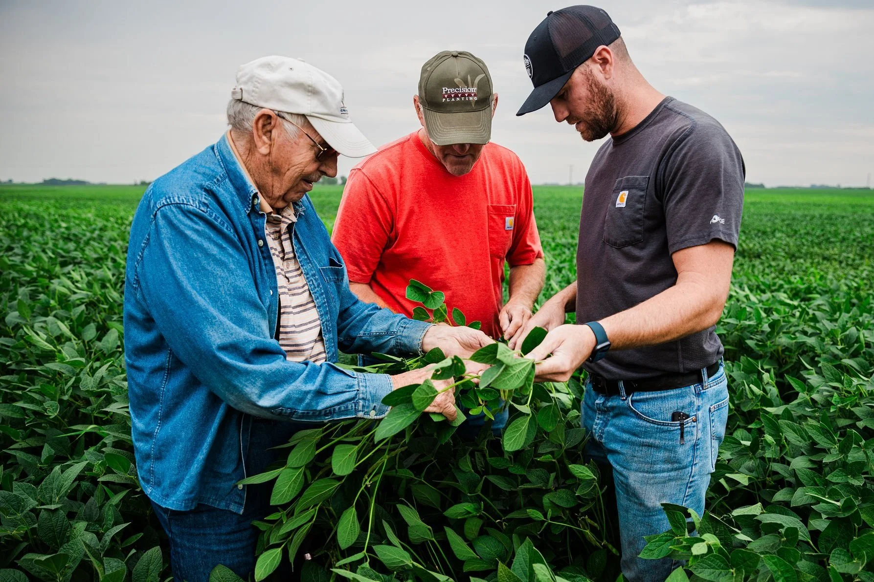 About Us — Crystal Valley