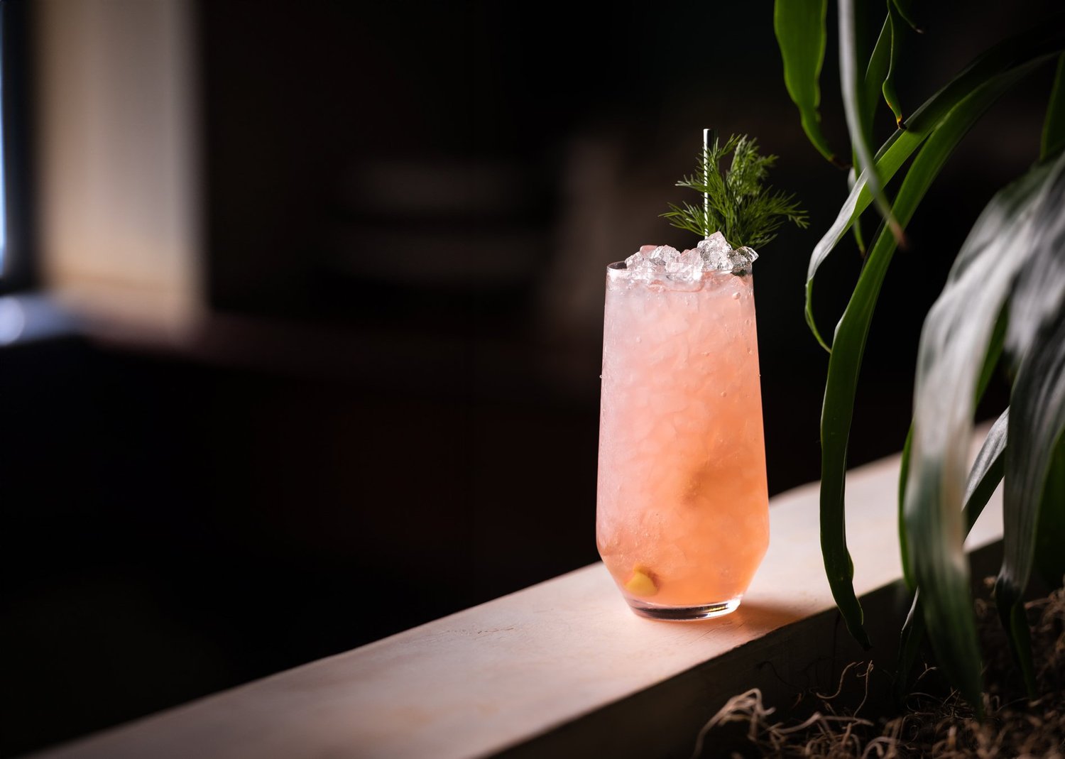 Menus | Discover Our Signature Drinks - Visit Today — Lady Jane Denver