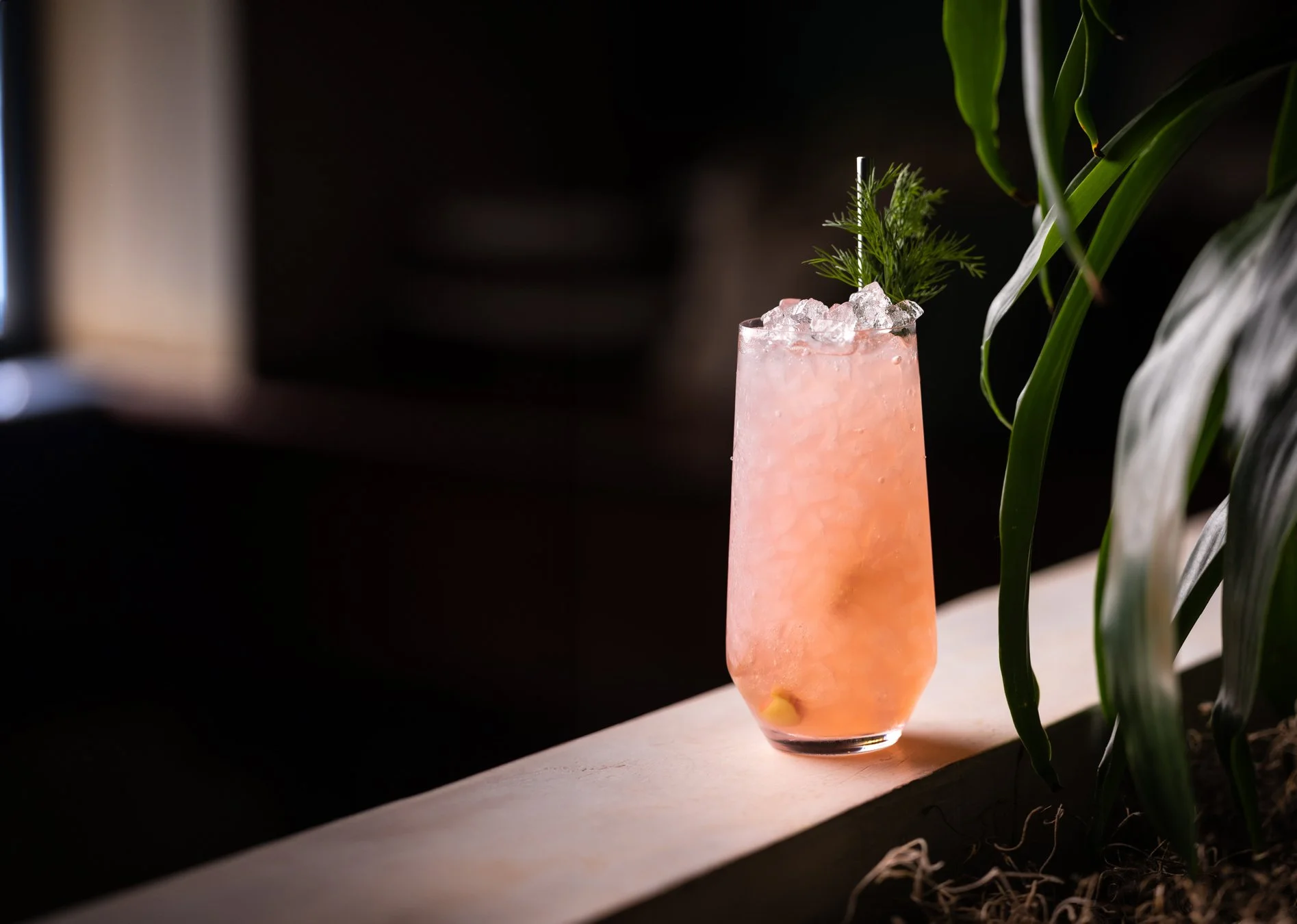 Menus | Discover Our Signature Drinks - Visit Today — Lady Jane