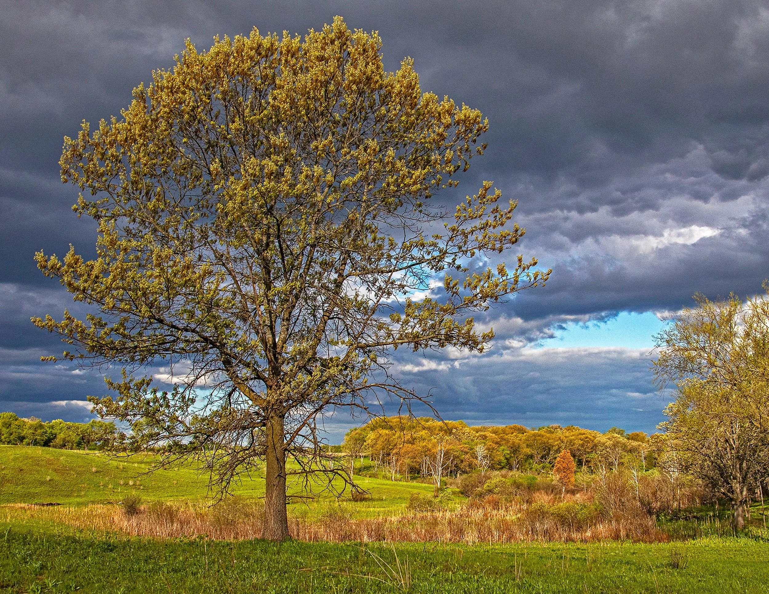 Competition | Join & Compete Today — Wisconsin Area Camera Clubs ...