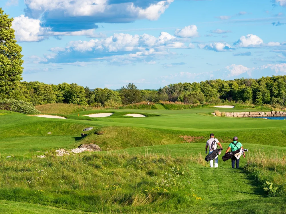 Portfolio — Longridge Partners