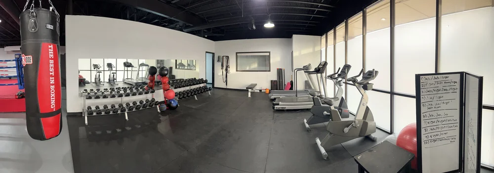 Free Intro Session — Chapa's Boxing Gym