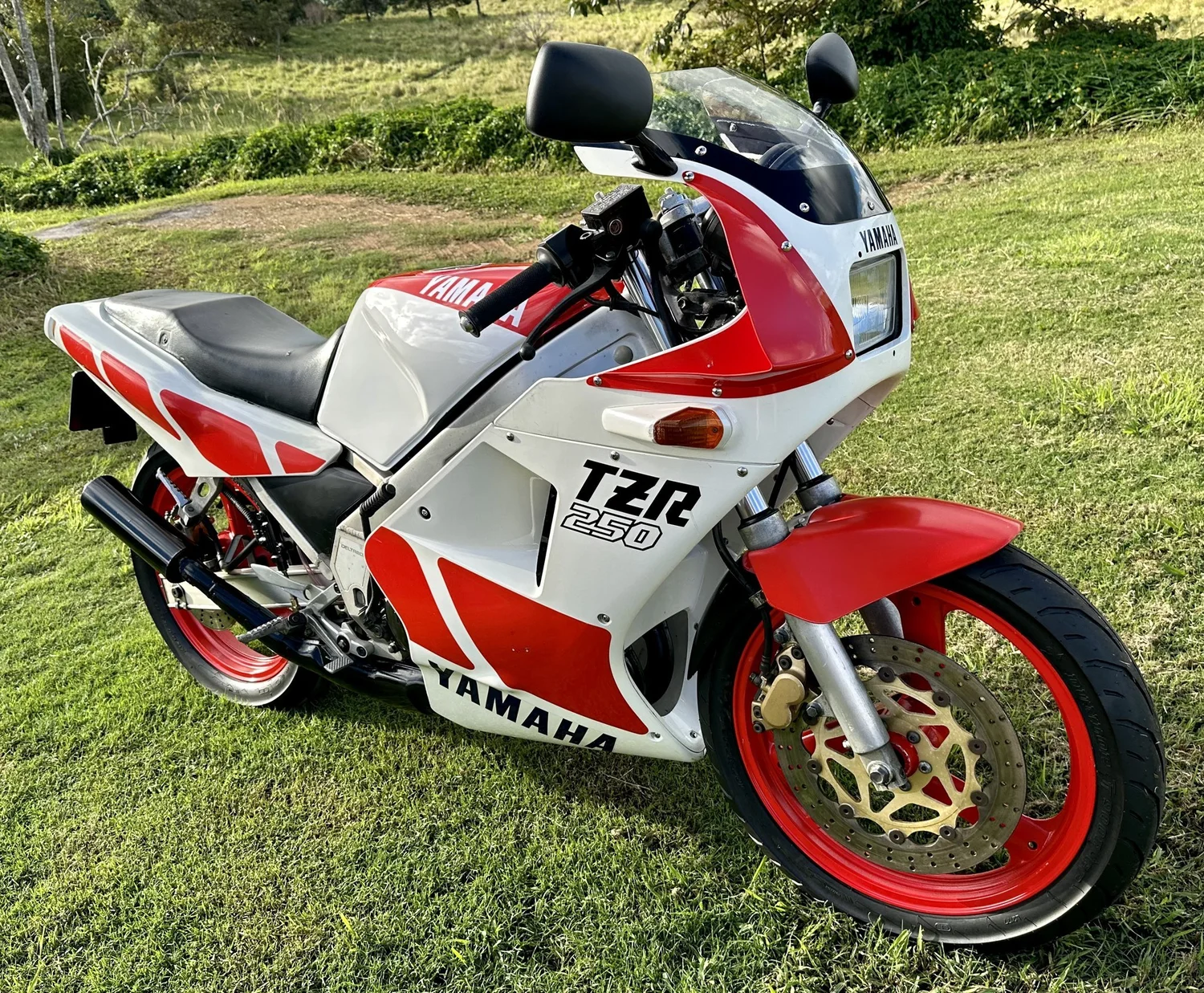 1986 Yamaha TZR250 — Brad's Vintage Cycles