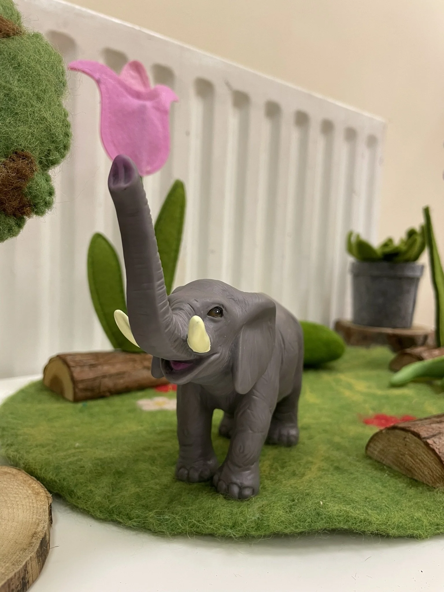 Developmental Classes — Little Prodigies