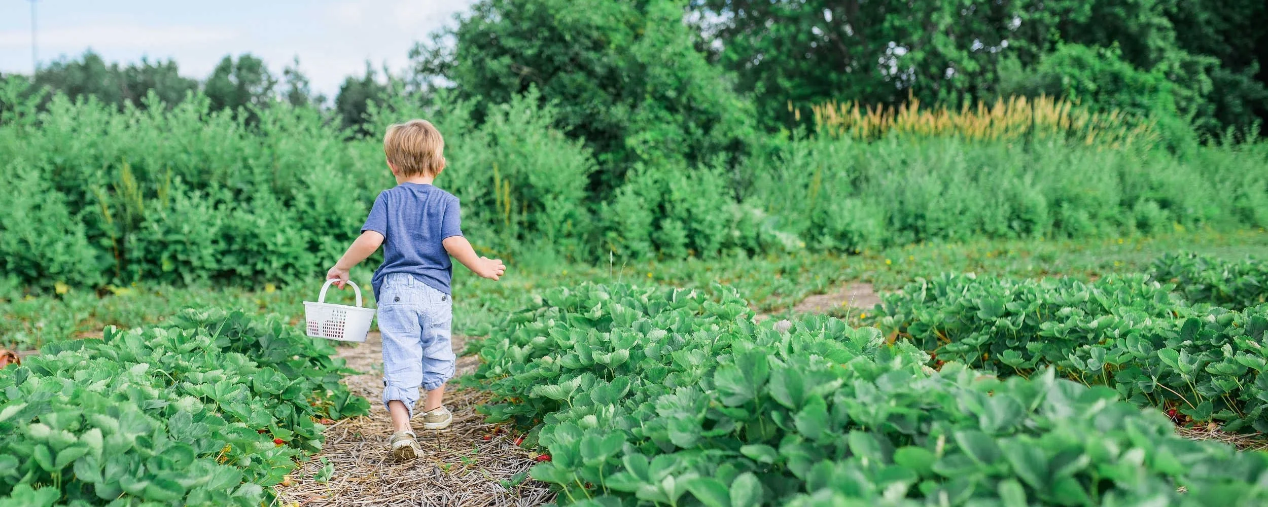 Agrihood Agrihood - Far North Queensland