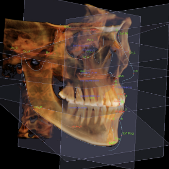 Anatomage — fototronic + medical solutions
