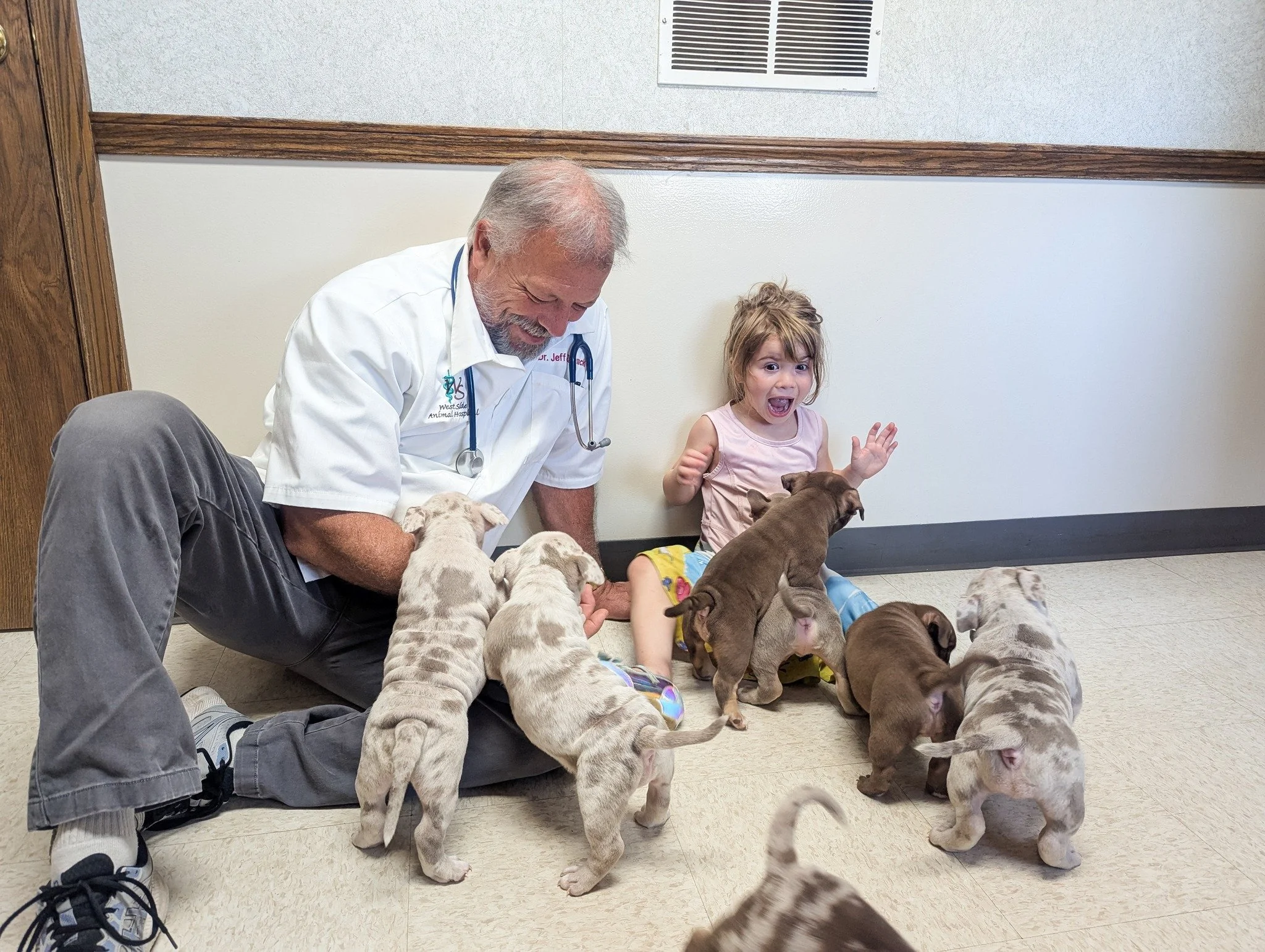 West Side Animal Hospital