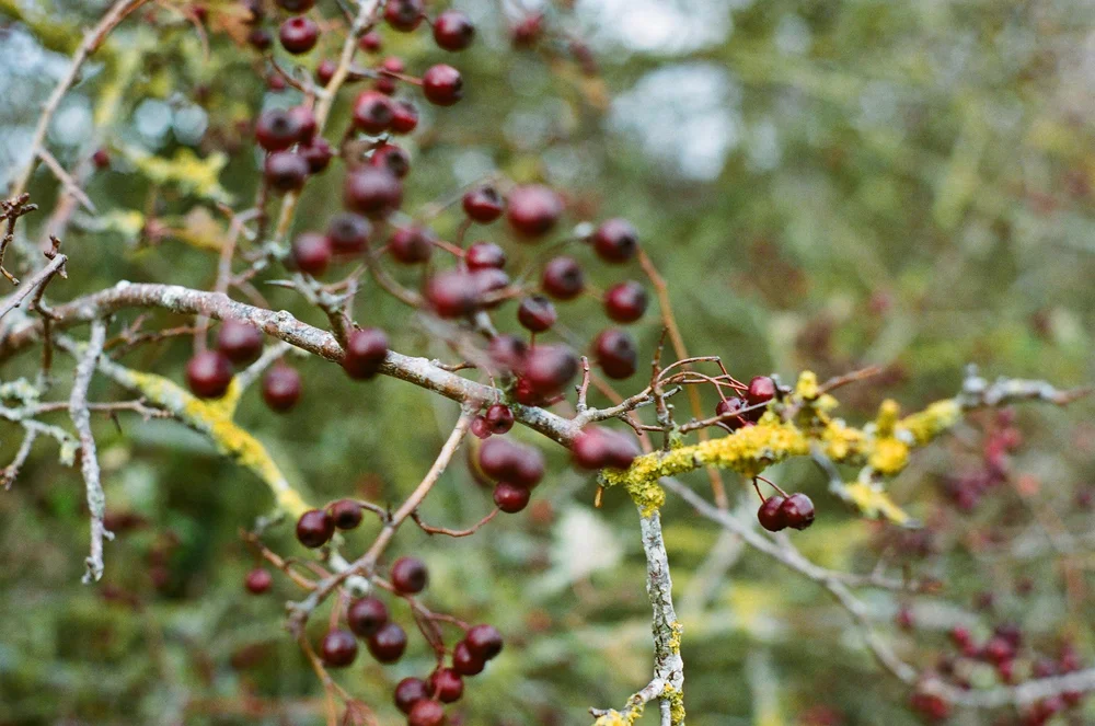 Mark Gregson Photographer