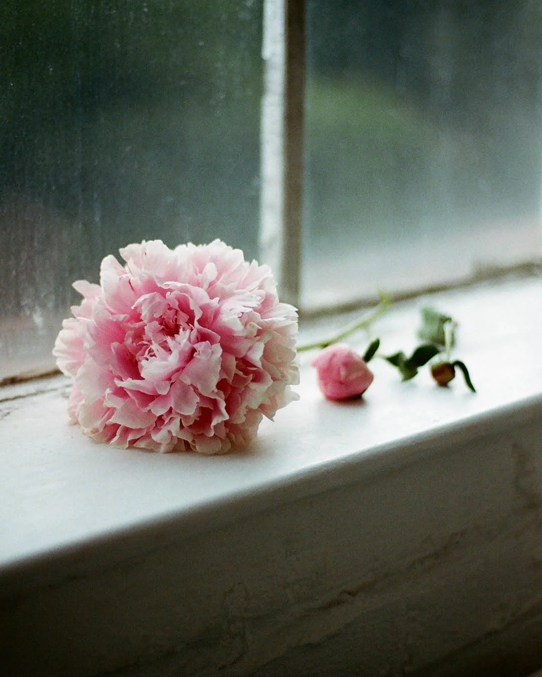 Mark Gregson Photographer