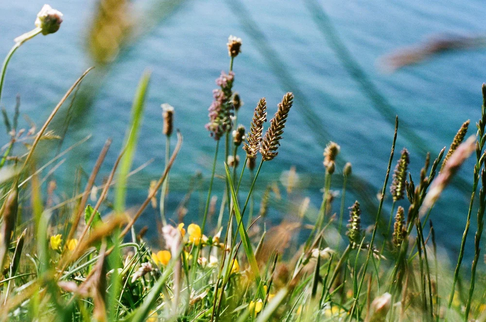 Mark Gregson Photographer