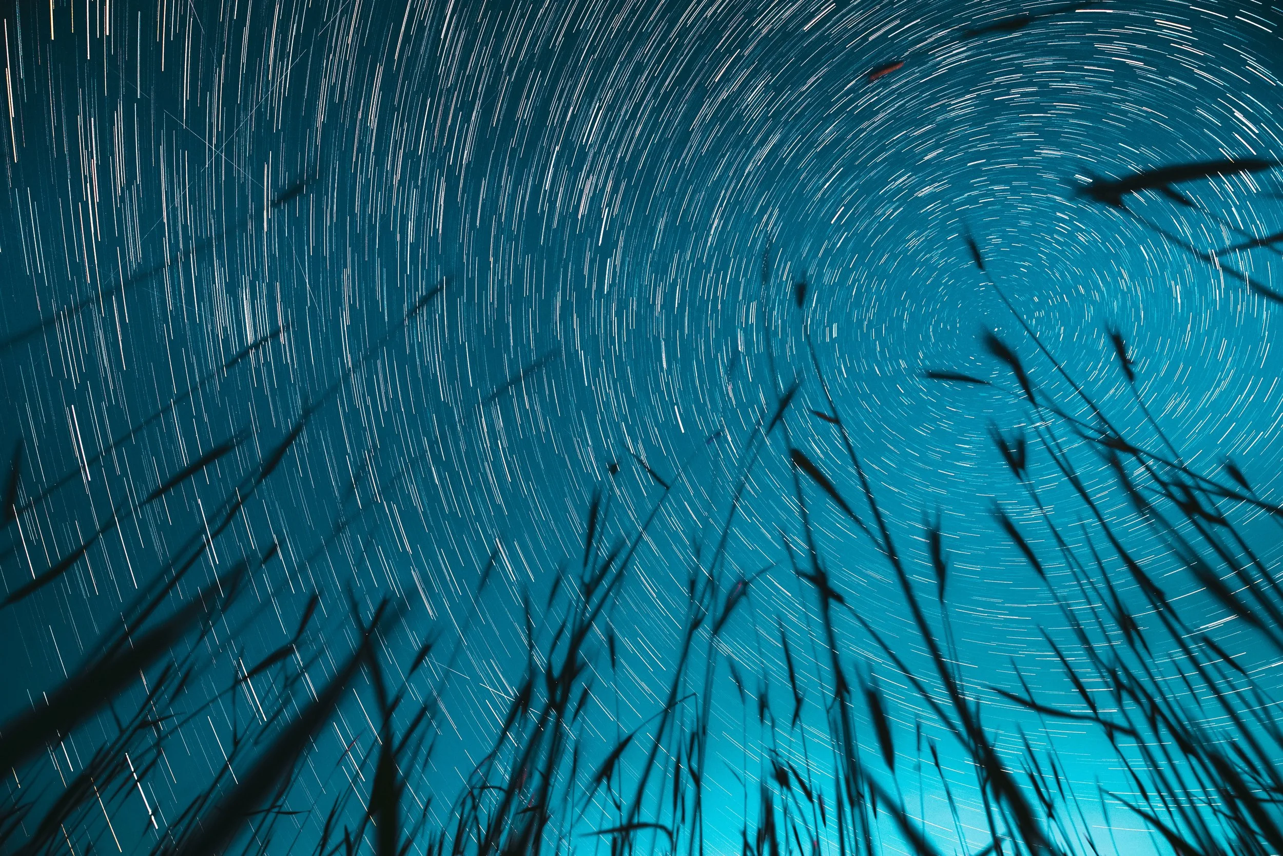 New Catalyst Strategic Partners | Alternative Investment Firm