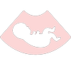 3D/4D Ultrasound | Memphis TN | MOMents Studio