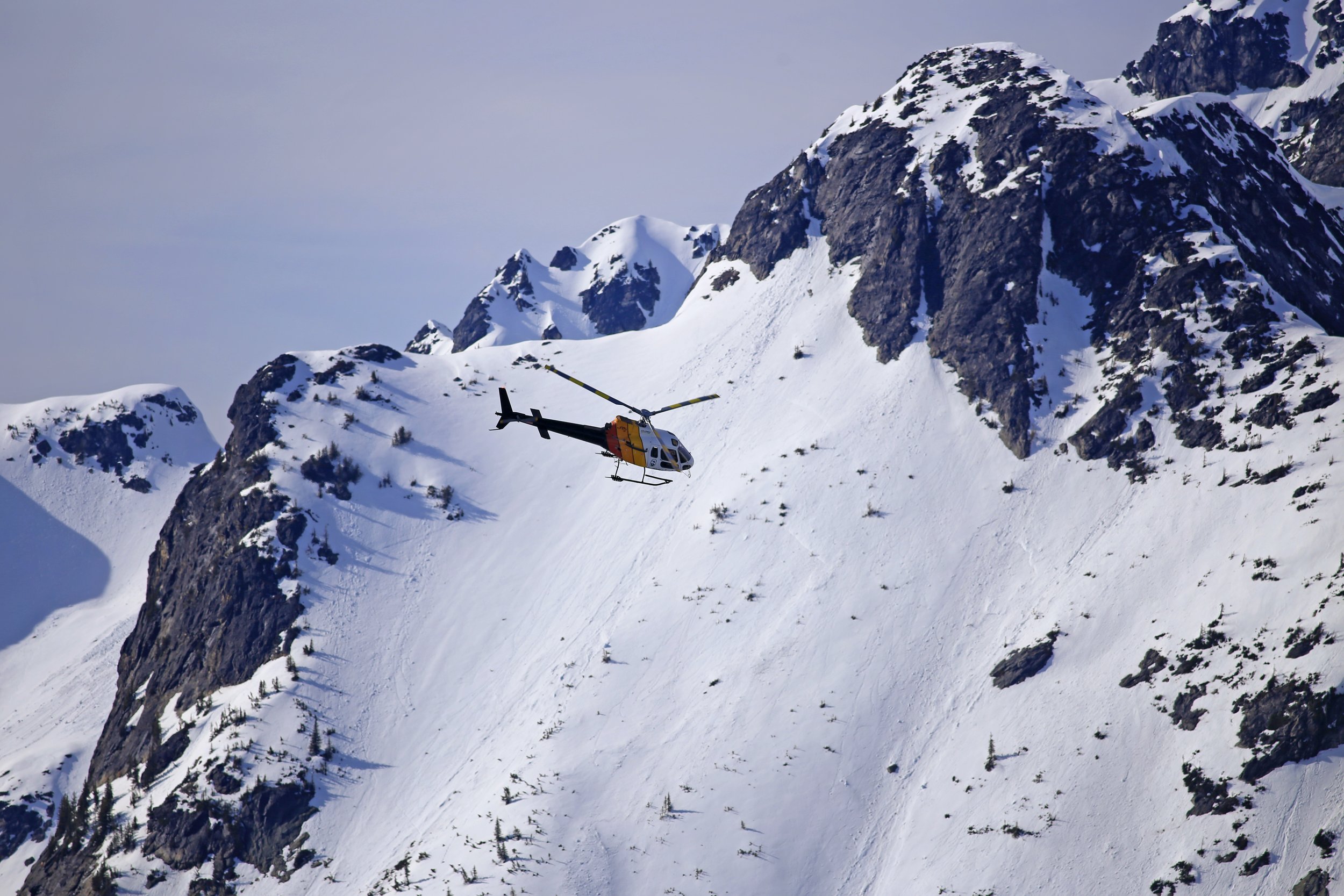 Bell 206B Jet Ranger — Columbia Helicopters