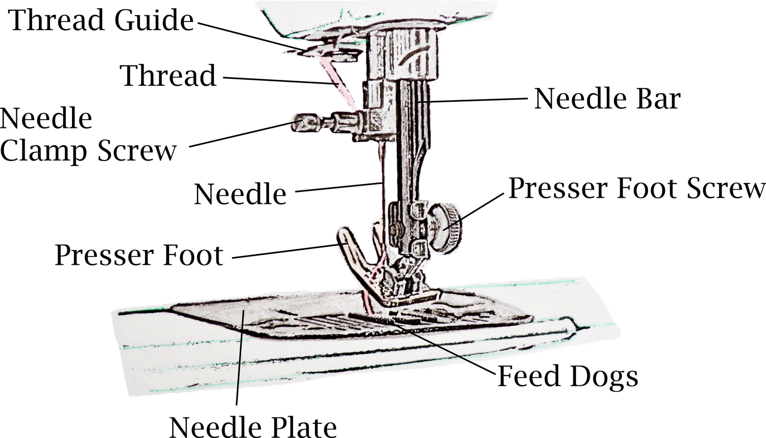 Master Your Sewing Machine: A Part-by-Part Breakdown — ByTinymite