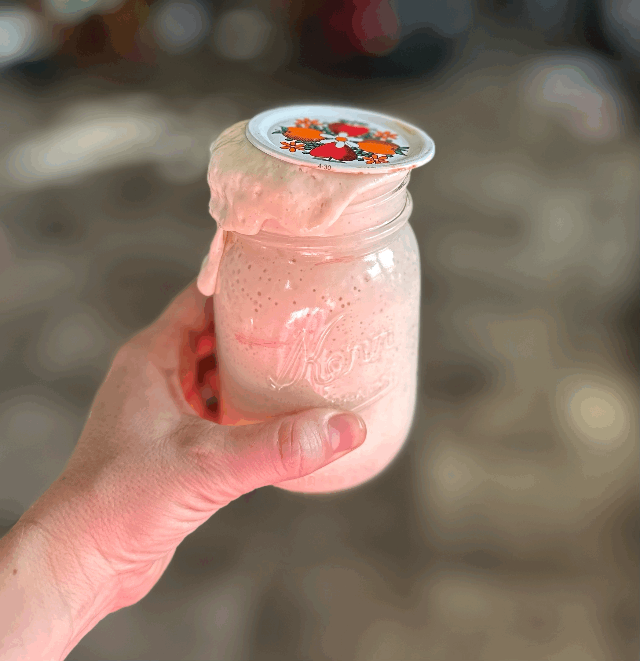 "Melanie" dehydrated sourdough starter FREE SHIPPING — Homestead-ish