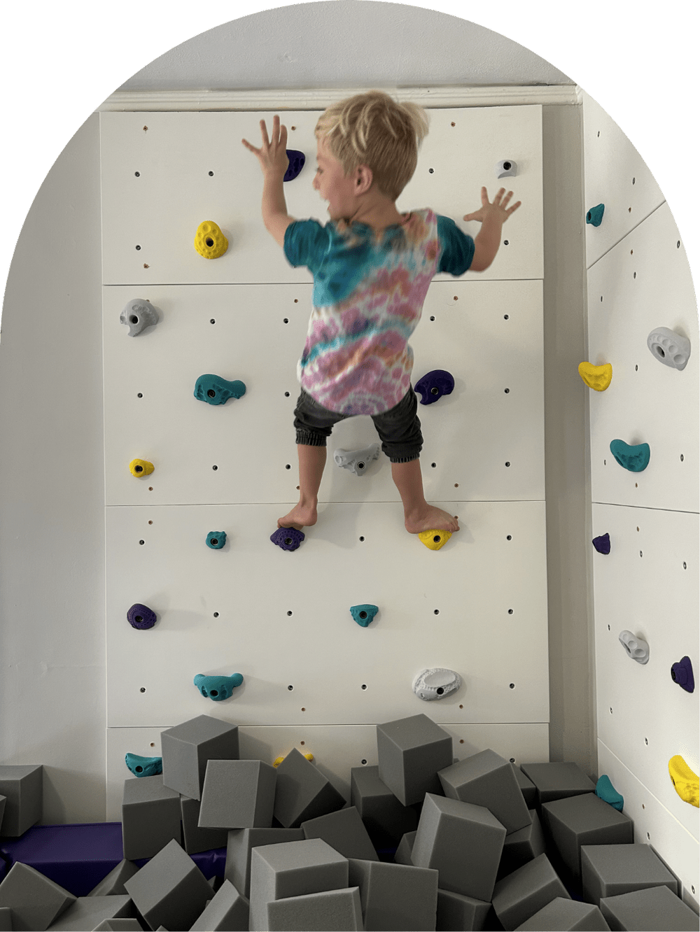 Wild Child Custom Playroom Design