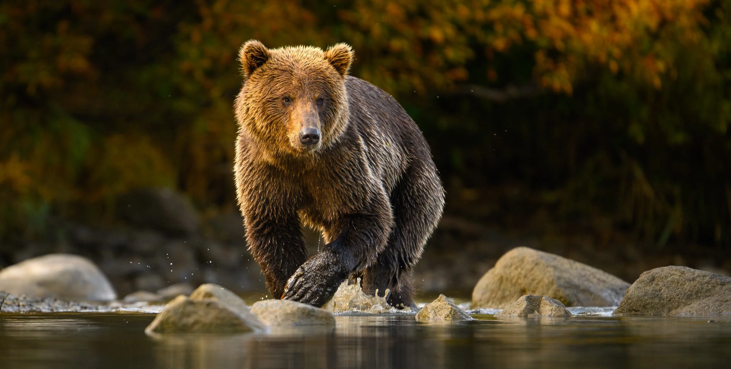 PhotoWILD Workshhops