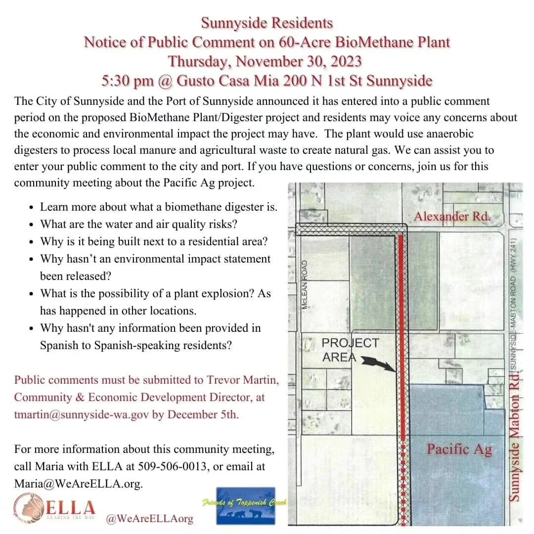 Chelsea Dimas for State Rep (D)