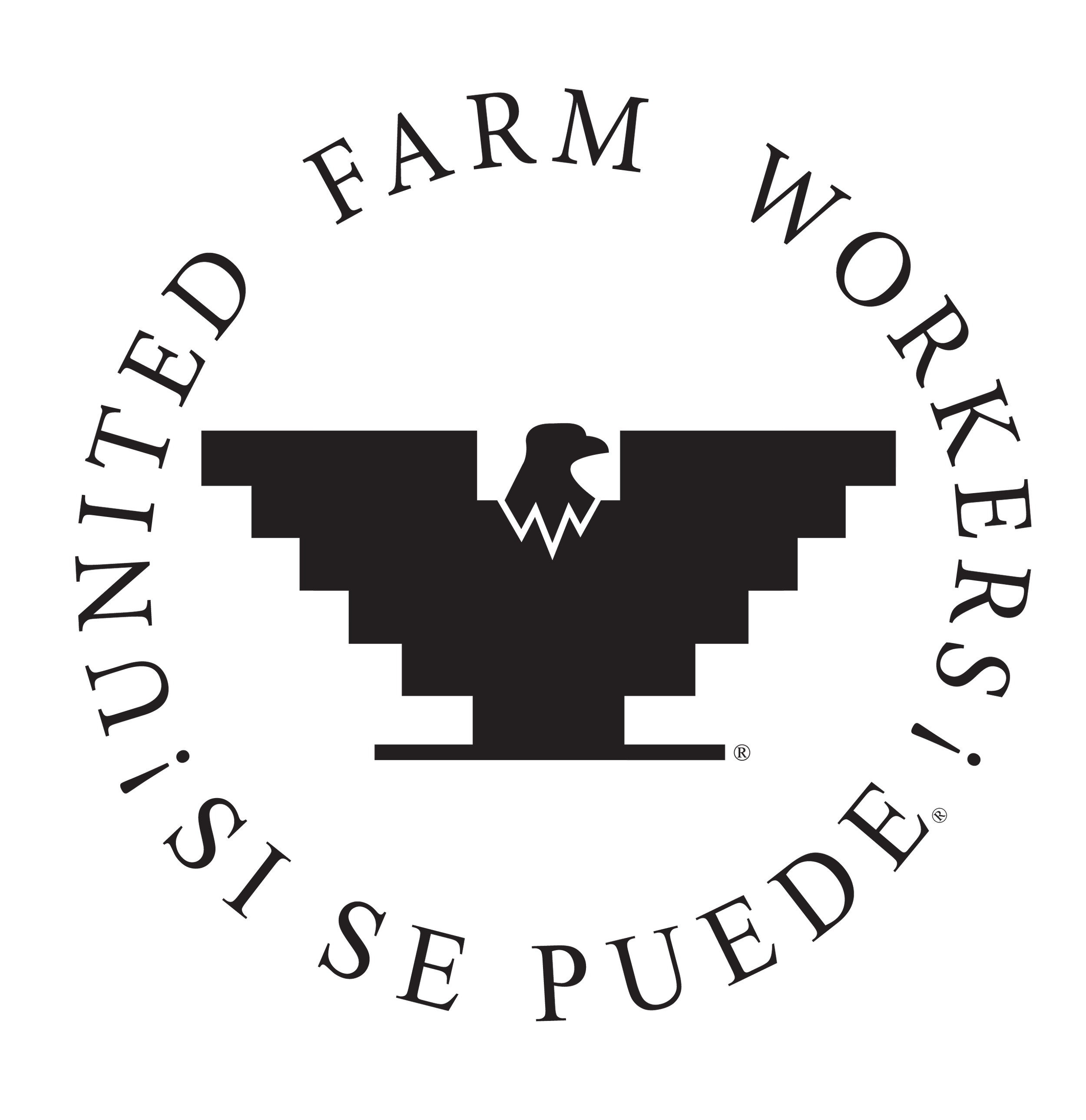 Chelsea Dimas for State Rep (D)