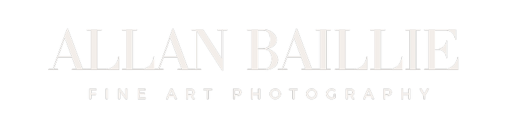 Allan Baillie Photography | Fine Art Botanical Originals + Prints